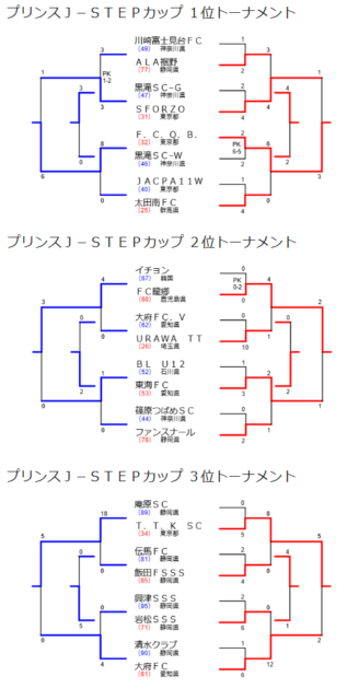 2024年度 第38回全国少年少女草サッカー大会 男子の部 プリンスカップ（静岡）FCキントバリオ、GEO－X FC、ST－FUTEが優勝！最終順位掲載！ | Green Card ニュース
